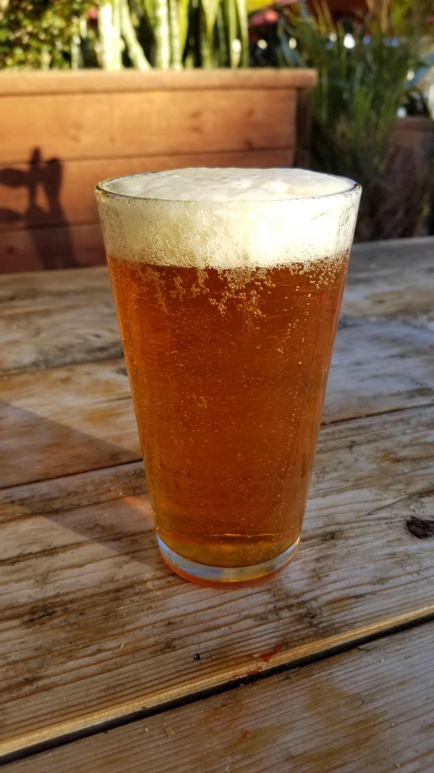 Das Fressen – Erst kommt das Fressen dann kommt die Moral